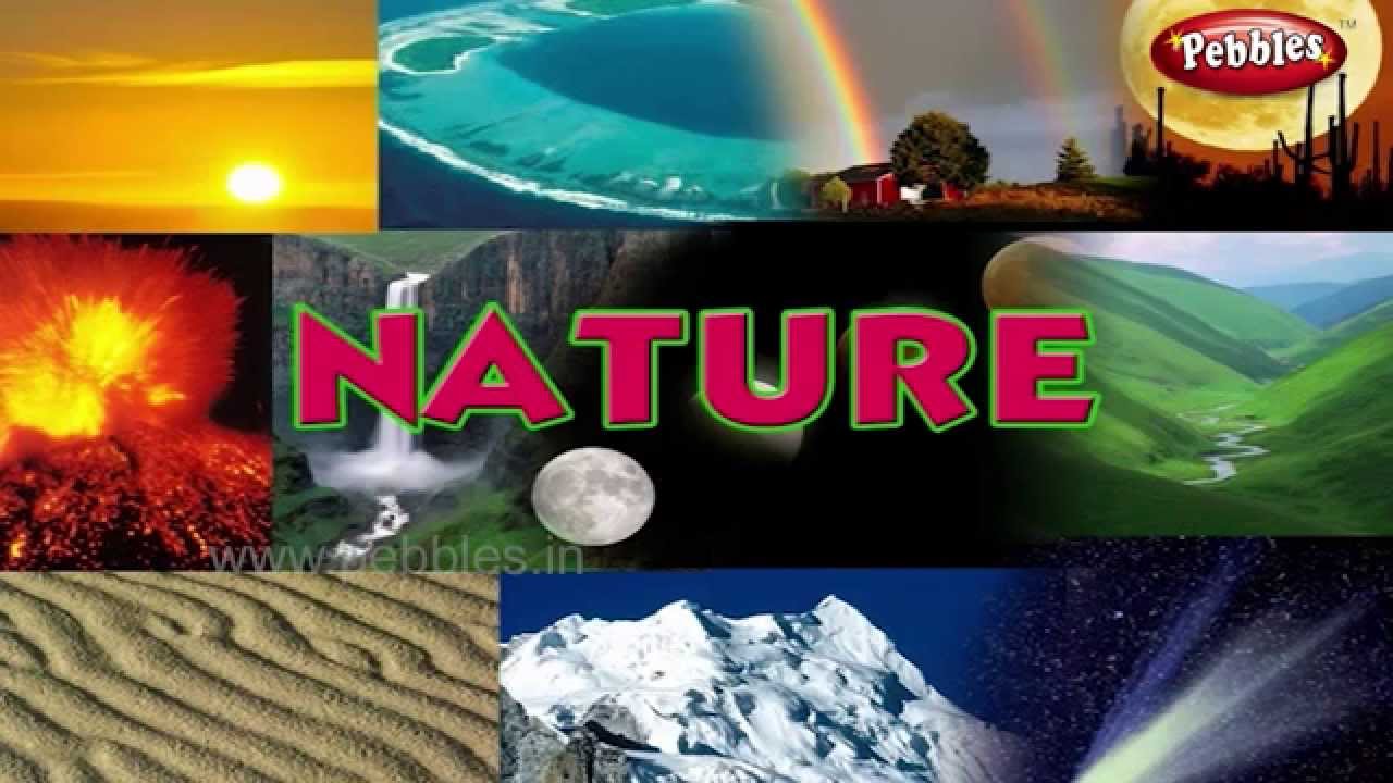 Nature | Pre School Basics for Kids | Basic English Grammar for ...