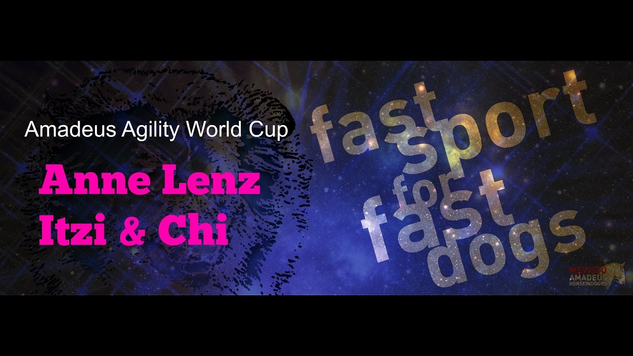Amadeus Agility Worldcup 2016 Anne Lenz mit Itzi und Chi - YouTube