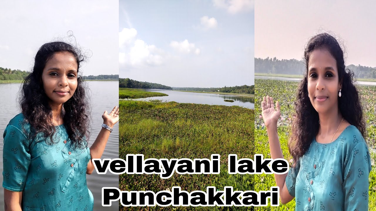 Vellayani lake visit | Punchakkari padam | - YouTube