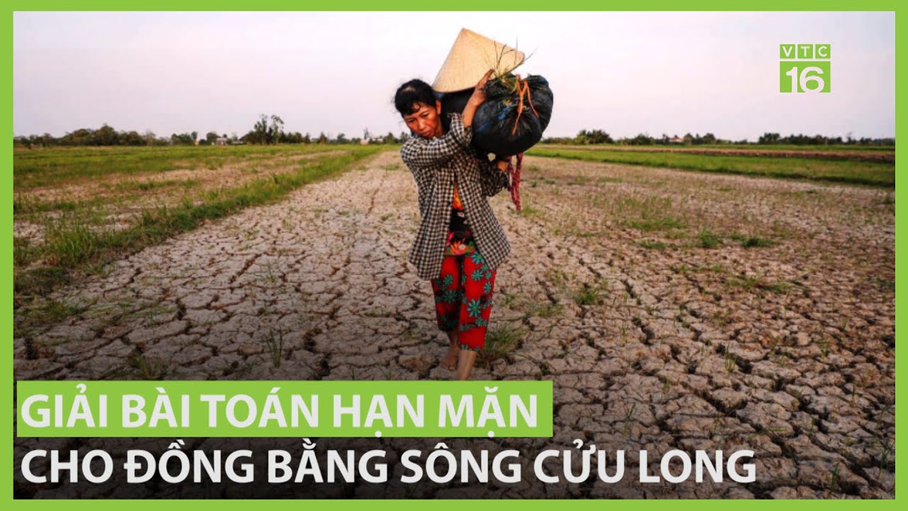 Giải bài toán hạn mặn cho Đồng bằng Sông Cửu Long | VTC16 - YouTube