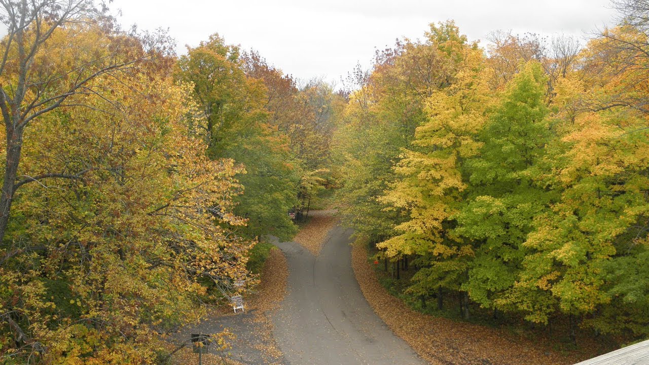 Northern Wisconsin Forest Road - YouTube