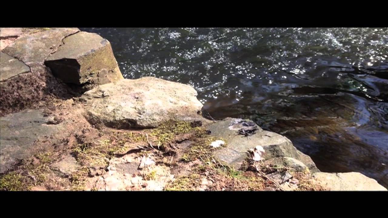 in my haste - YouTube