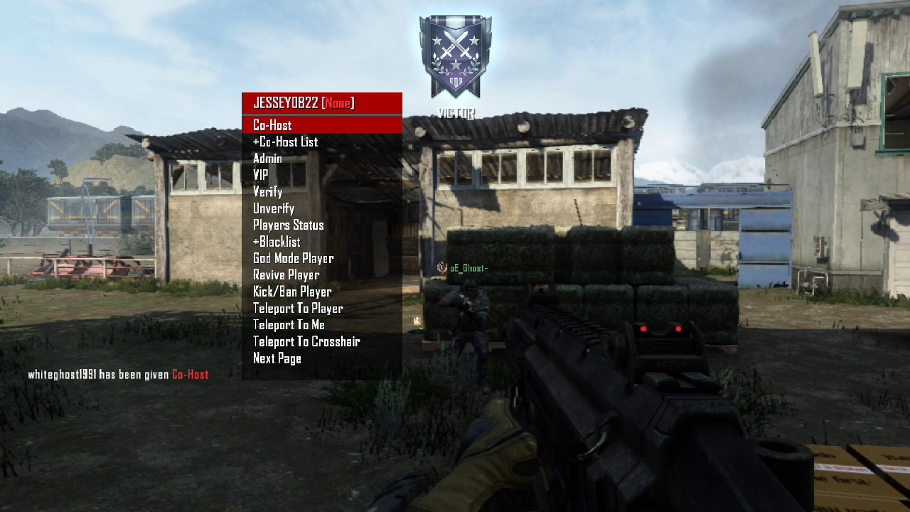 COD Cheaters! - YouTube