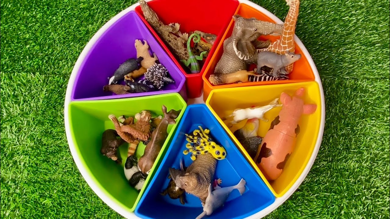 Farm, Sea, Jungle Animals and More! Learn Animal Names and Colours ...