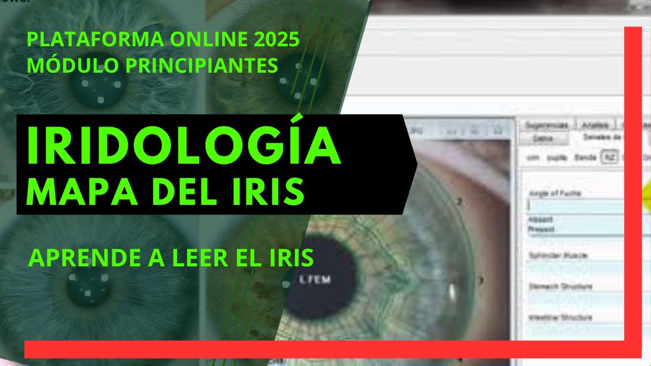 💥🎓IRIDOLOGÍA DIGITAL 1 - 3 l ¿DÓNDE ESTÁN LOS ÓRGANOS EN EL MAPA DEL ...