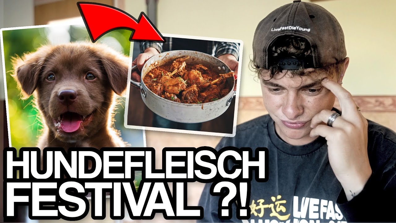 Lebendig Gekocht Hundefleisch Festival