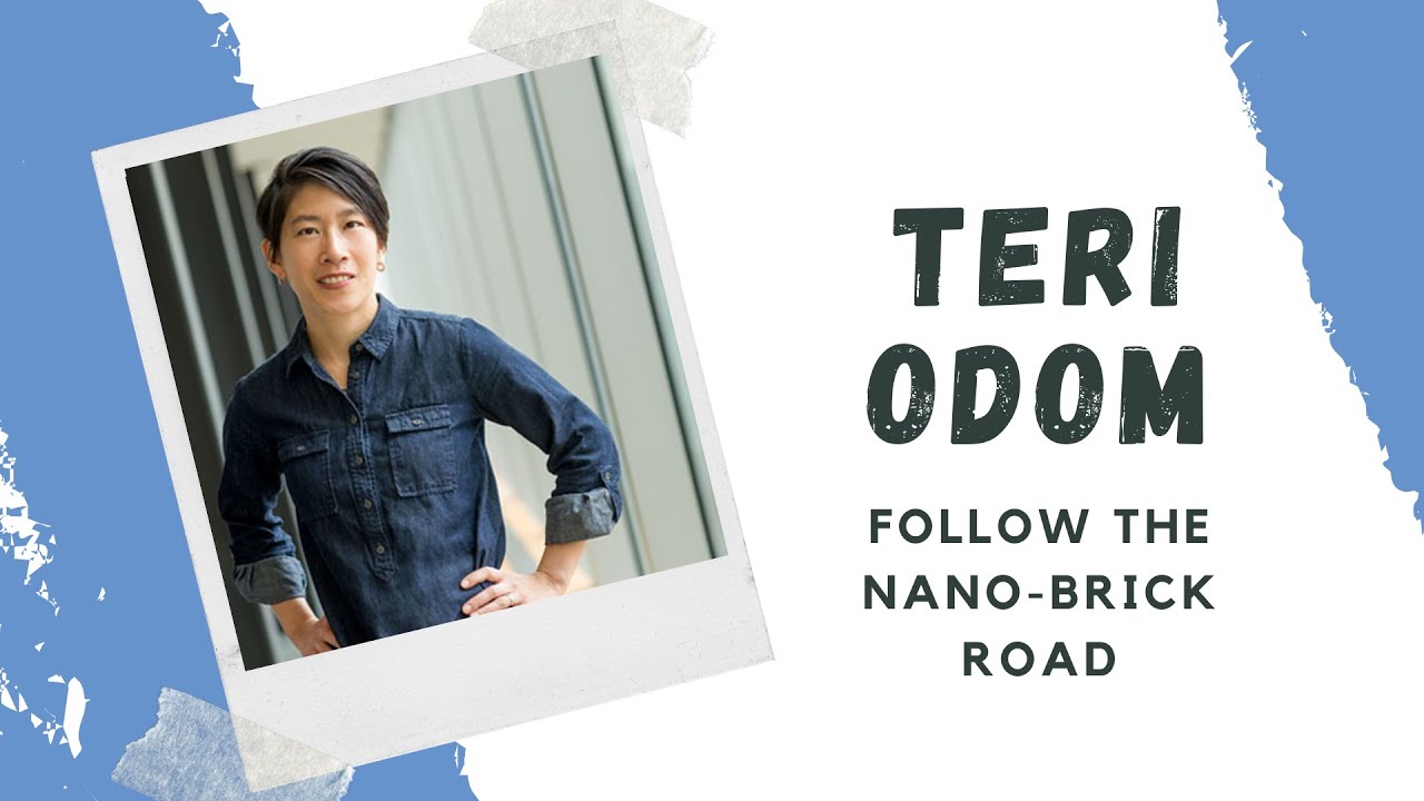 STEM World Chemistry Panel — Dr. Teri Odom: Follow the Nano-Brick Road ...
