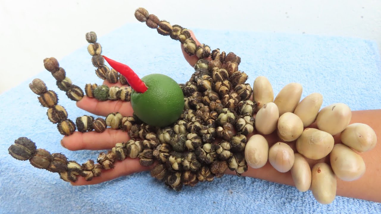 How To Remove Big Ticks Style On Palm Lady Designed From Fruit Seeds And Cereals 370 YouTube how-to-remove-big-ticks-style-on-palm-lady-designed-from-fruit-seeds-and-cereals-370-youtube