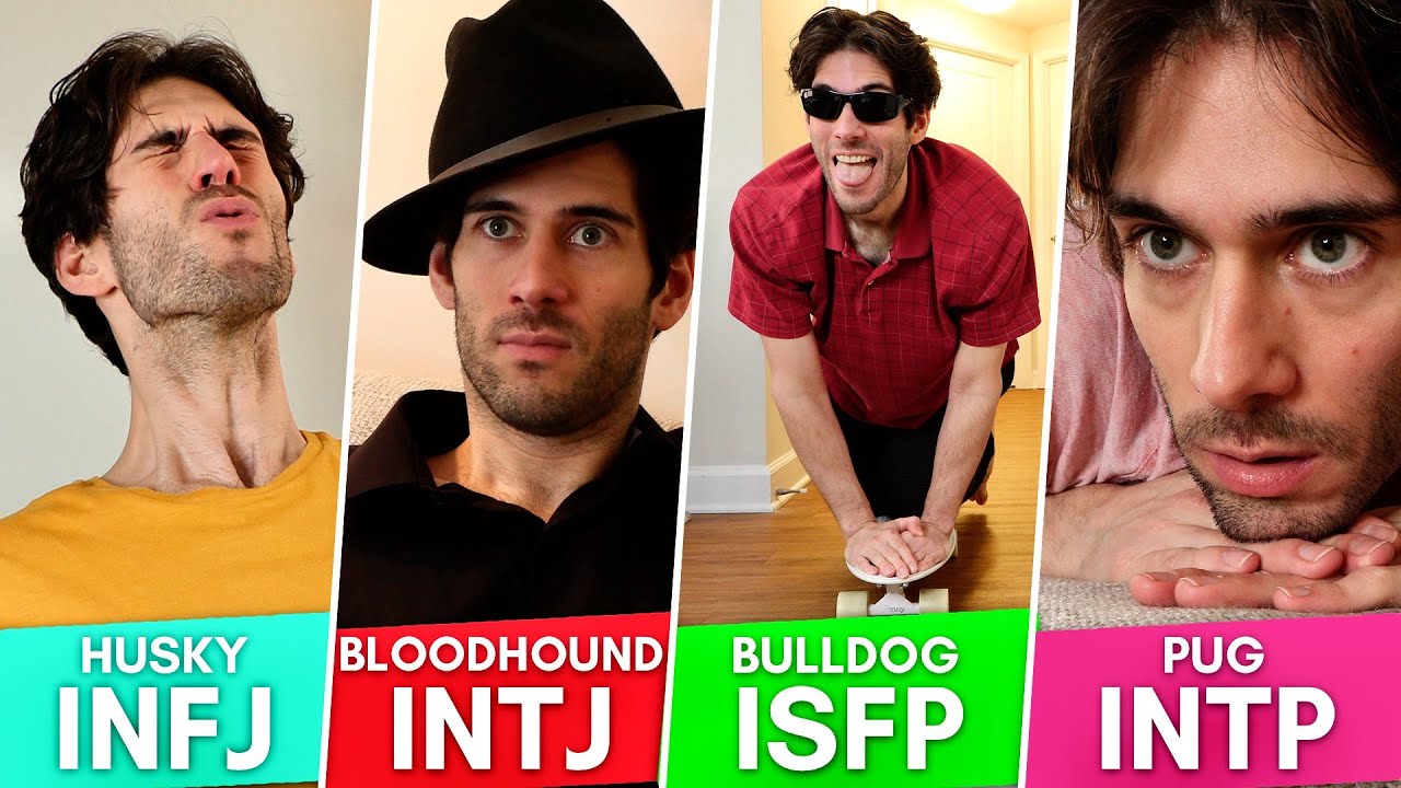 16 Personalities as Dog Breeds - YouTube
