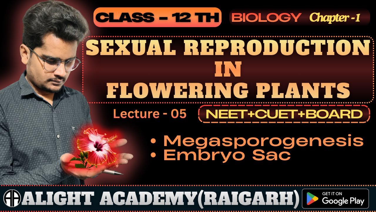 Sexual Reproduction in Flowering Plants 05 - Class 12th | Biology ...