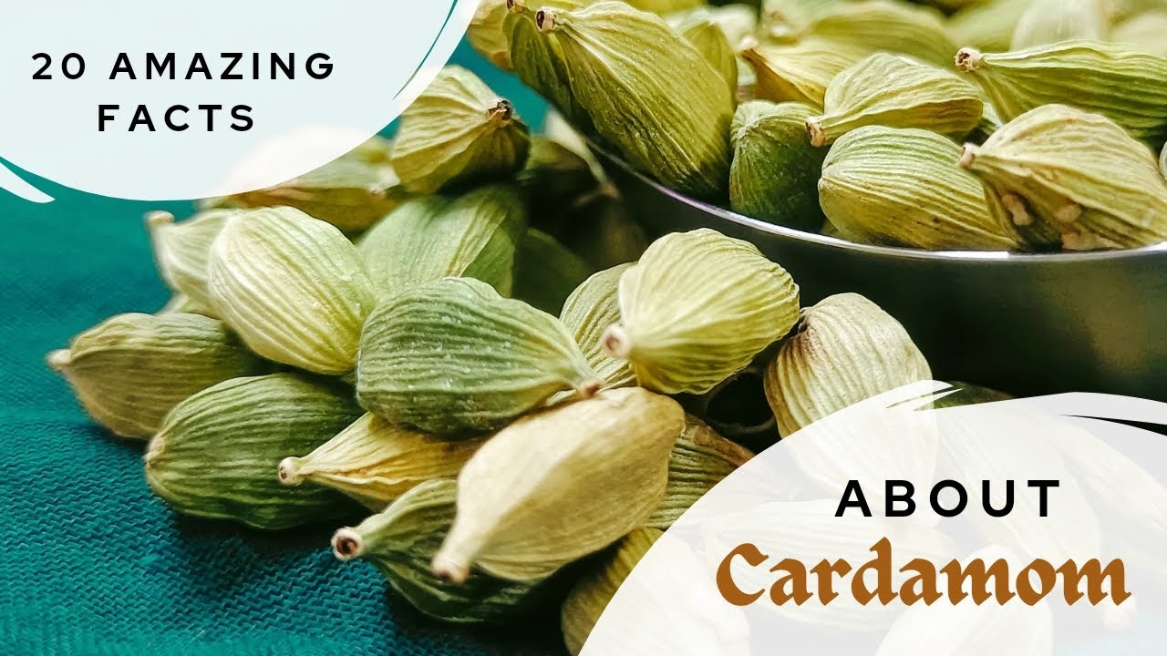20 Amazing Facts About Cardamom #spices #health #facts #food #amazing # ...