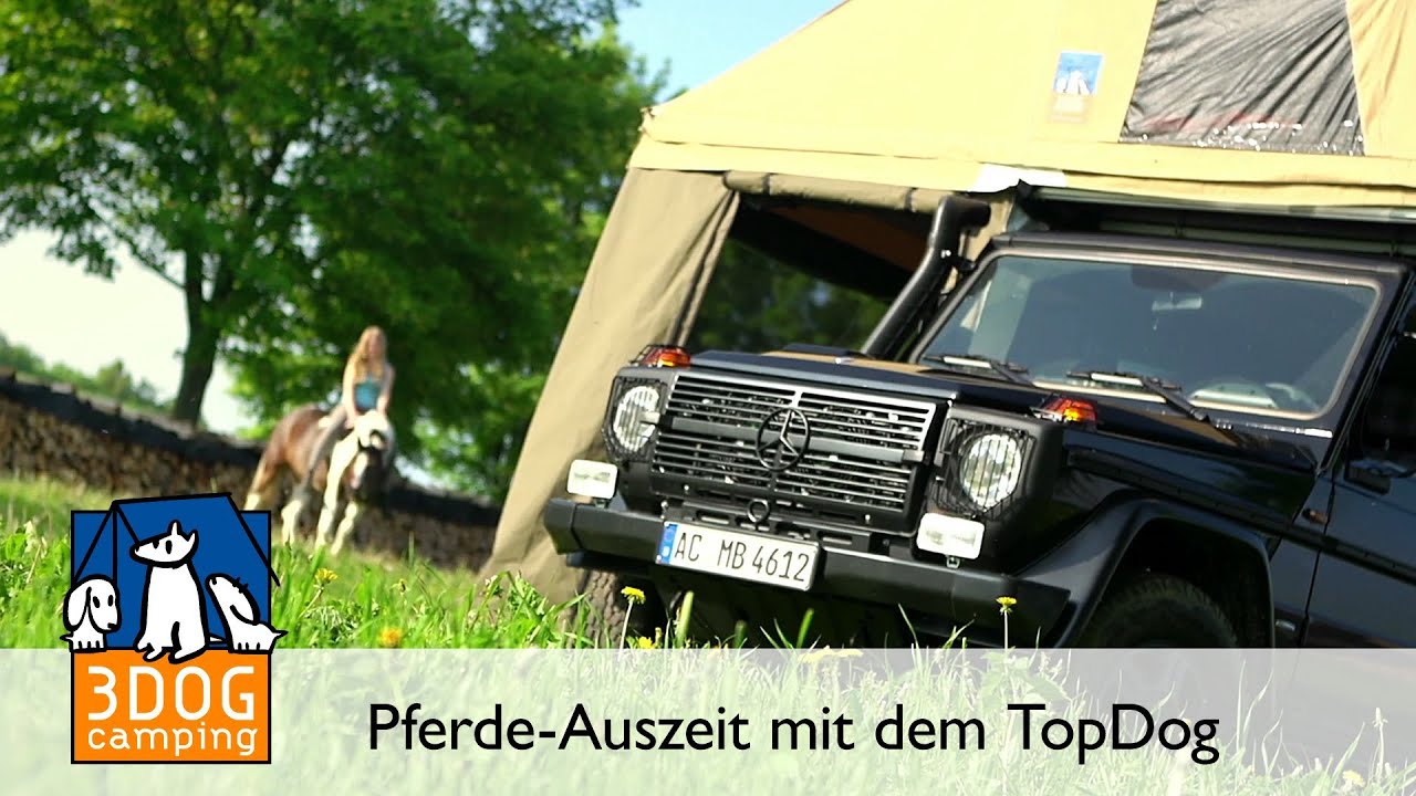 Wunderschone 3dog Camping Hamburg Bilder