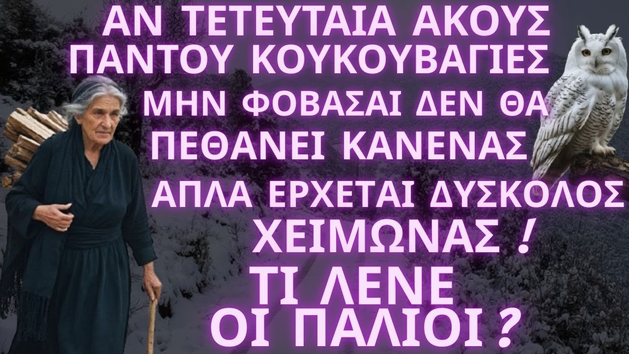 Κουκουβάγια: Σύμβολο Σοφίας & Προάγγελος Γεγονότων- Τι Λένε Οι Παλιοί ...