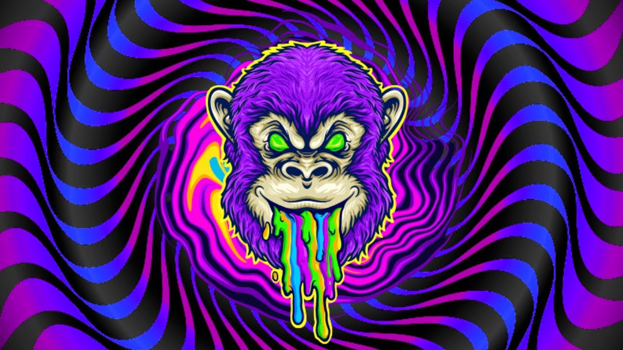 Barox - No One Can Stop Acid - YouTube