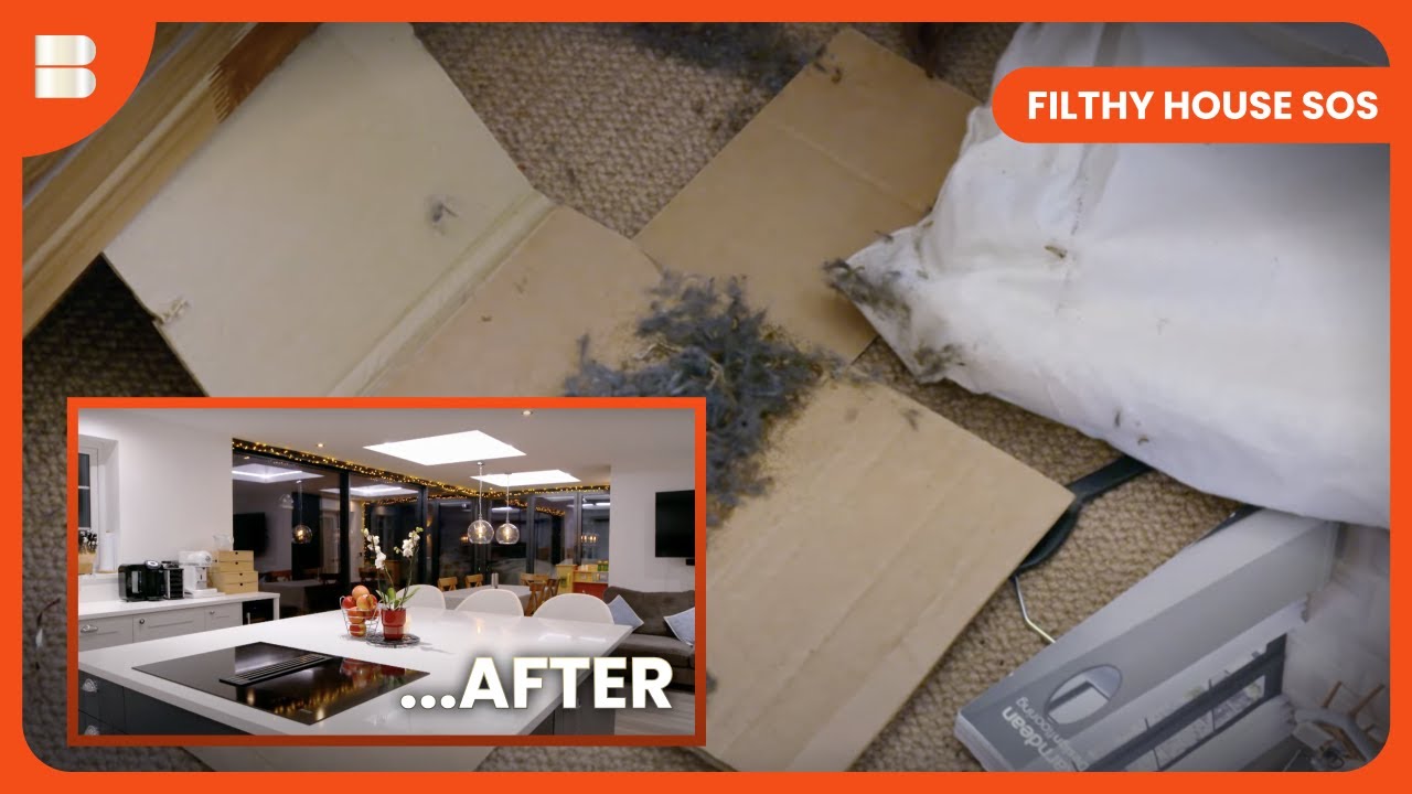 A Family’s Journey to Clean Living - Filthy House SOS - Documentary ...