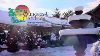 Suncrest Gardens — Holiday Commercial 2014