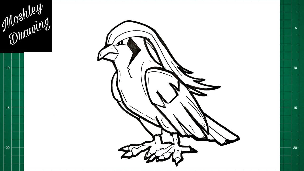 How to Draw Pidgeot - Pokemon - YouTube