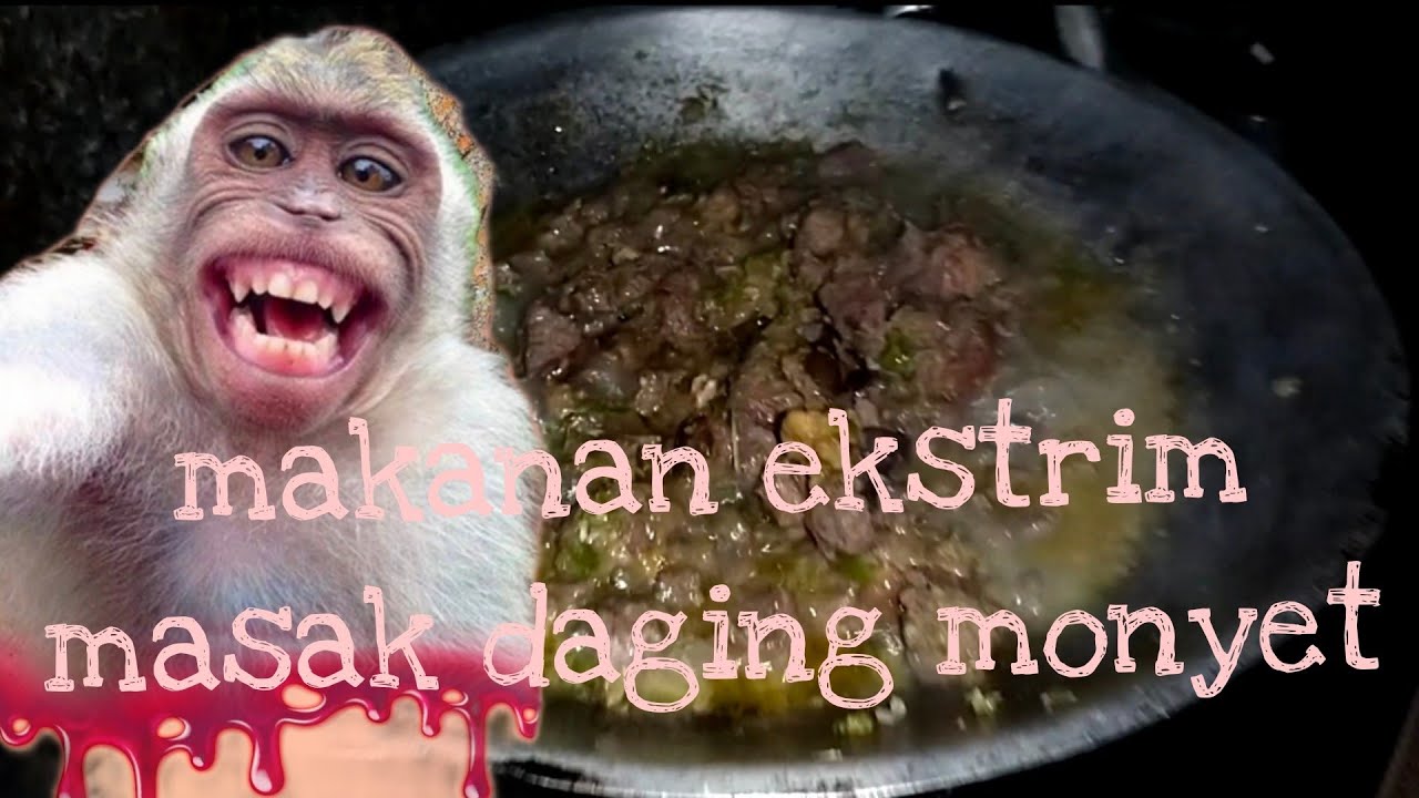 masak daging monyet makanan ekstrim Kalimantan @AbangRedy97 - YouTube