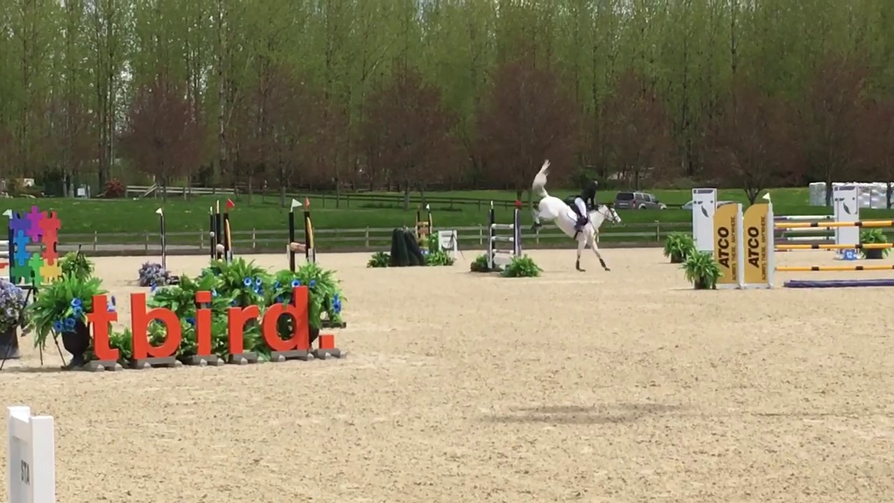 Casino Royale & Jenna Ritchie 1.40m Grand Prix - YouTube