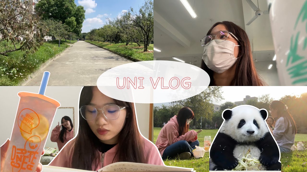 UNI VLOG // One day with TCM Student // Chengdu University Of ...
