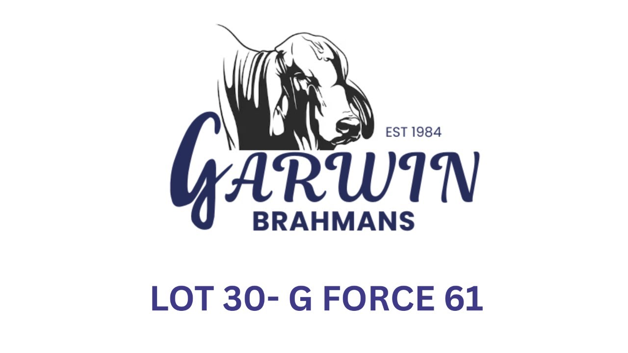 Lot 30- G Force 61 - YouTube
