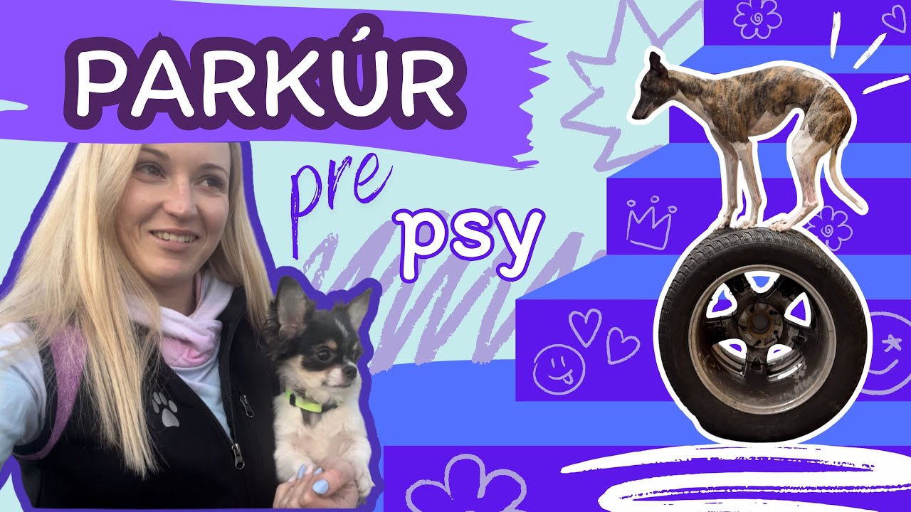 NINJA FAKTOR pre psy? | takto by to vyzeralo | vlog - YouTube