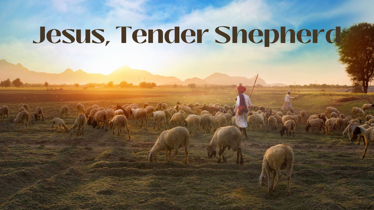 Jesus Tender Shepherd - YouTube