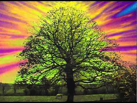 Ganga Tree - YouTube
