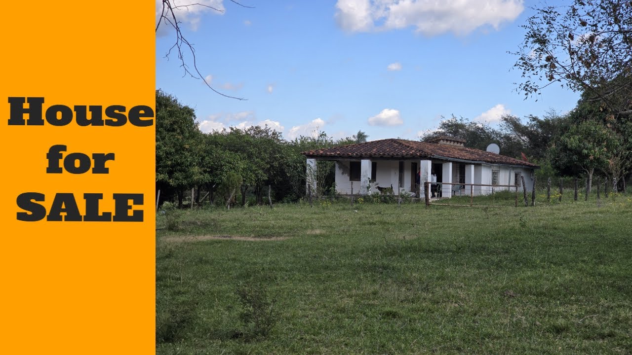 PARAGUAY HOUSE FOR SALE WITH 1.5 HEKTAR (4 ACRES) LAND AND FRUIT TREES ...