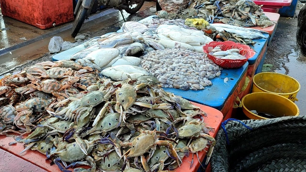 karachi fishries latest fish rate update fish market price update - YouTube