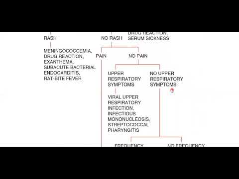 Algorithm of Acute & Chronic Fever - YouTube