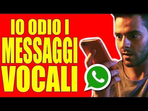 PARODIA WHATSAPP - IO ODIO I MESSAGGI VOCALI PT1 - iPantellas