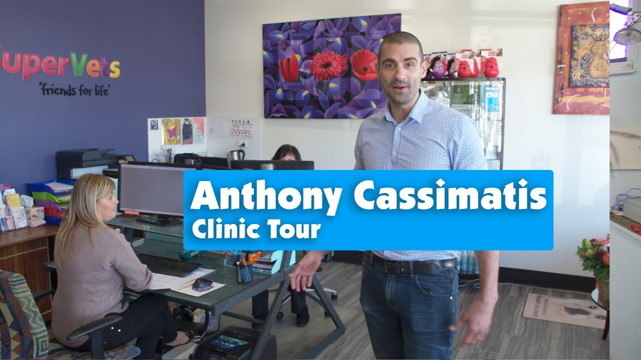 Anthony Cassimatis - CLINIC TOUR - YouTube