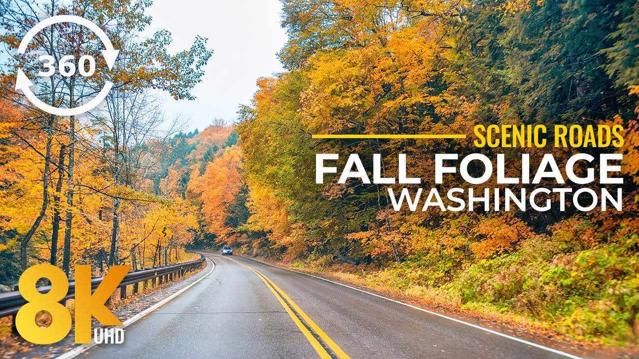 8K Wild Forest Roads of Washington State - 360° VR Scenic Autumn Drive ...