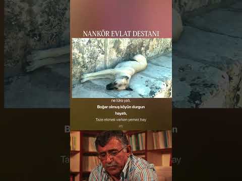 NANKÖR EVLAT DESTANI  9