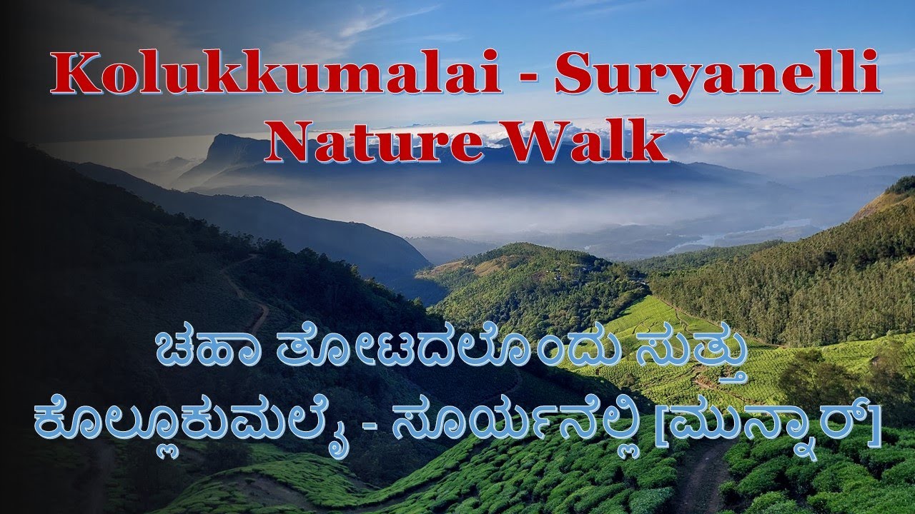 Kolukkumalai - Suryanelli Trekking #kolukkumalai #suryanelli # ...