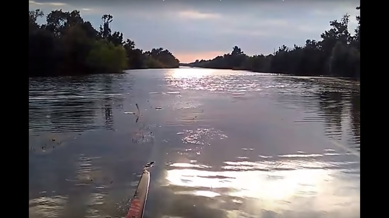 Hundreds Gather To See Addicks Dam Flooded On Clay Road After Tropical ...