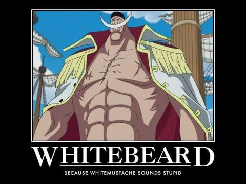 THE ONE PIECE.... THE ONE PIECE IS REAL - YouTube