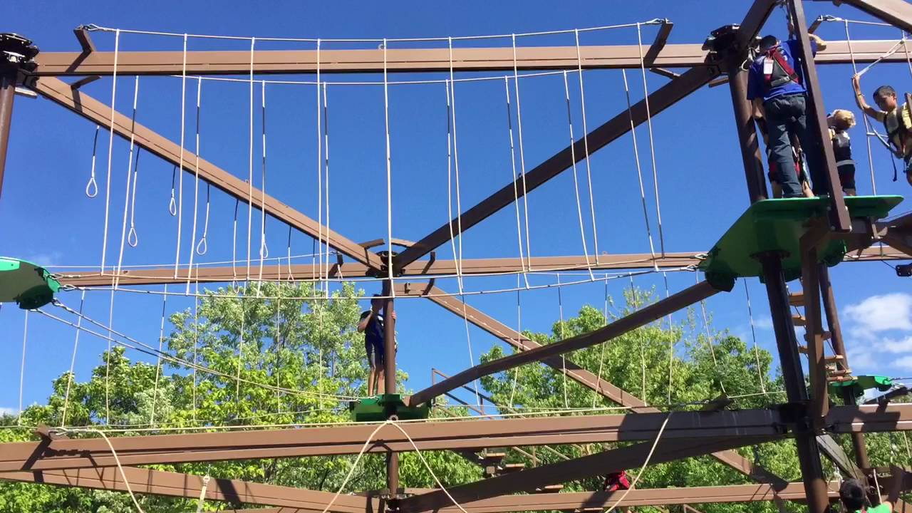 Toronto zoo gorilla climbing - YouTube