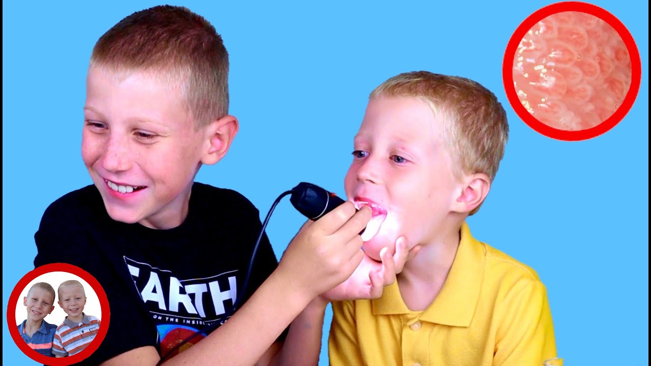 Common Objects Under The Microscope.Home magnification experiments with ...