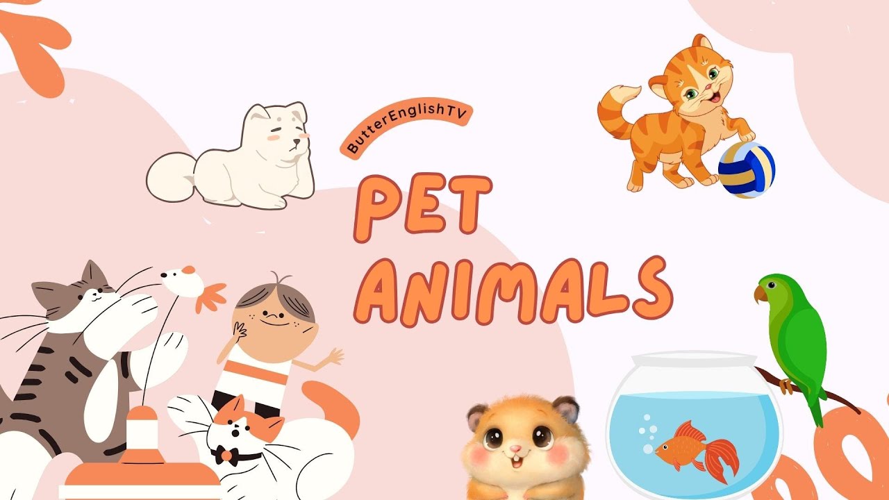 Pet animals | English for kids | Vocab Vault - YouTube