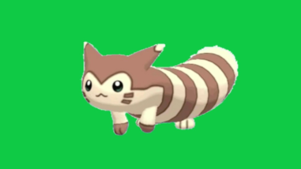 Furret walking (Greenscreen) - YouTube