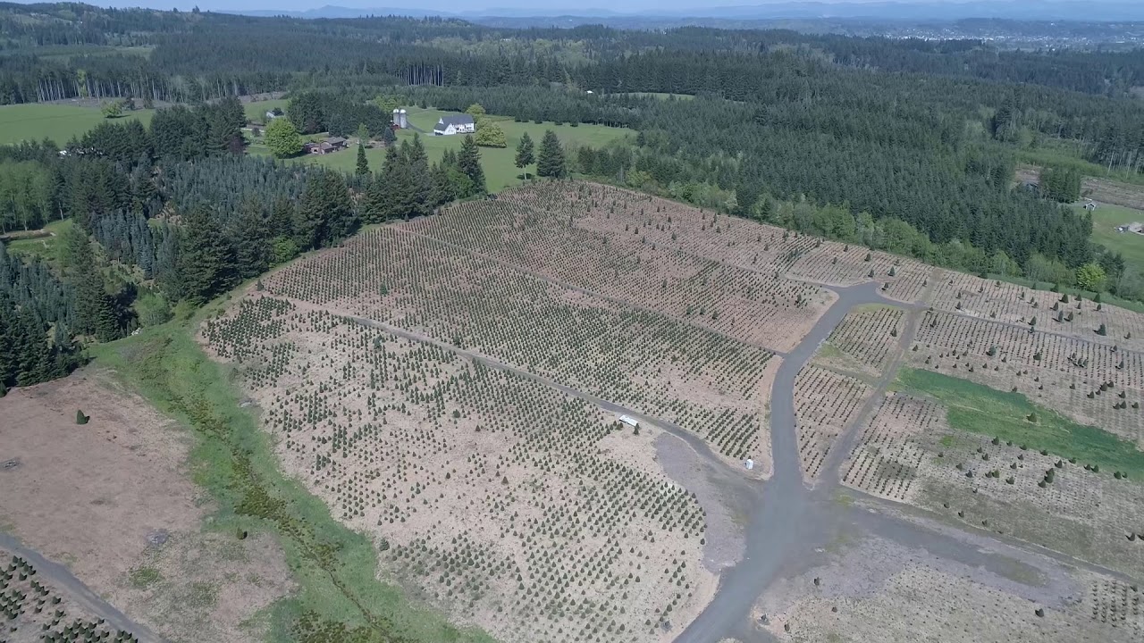 Jeffries Road Adna, WA FOR SALE - YouTube