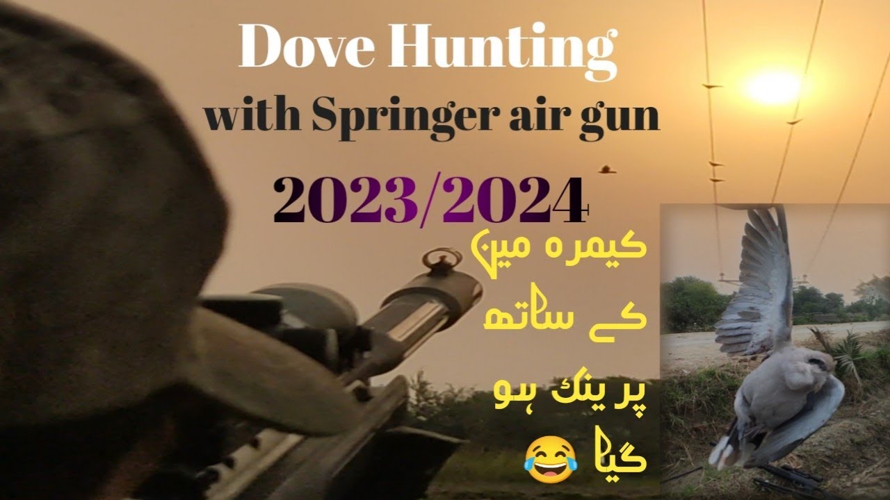 Dove Hunting with Springer air gun|GAMO ROADSTER IGT 10X GEN2|SSB ...
