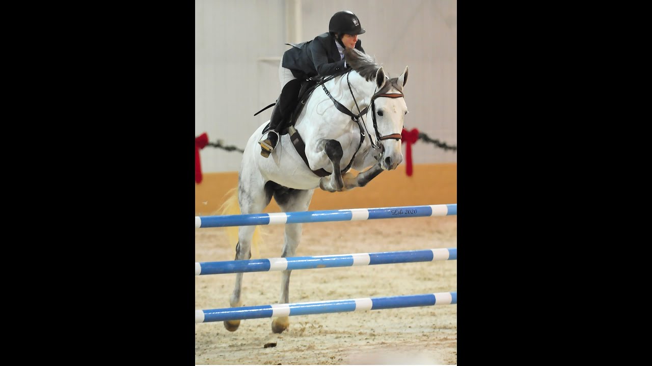 Cappa Irish Charmer - "A" 1.05m Jumpers - Imported, Approved Irish ...