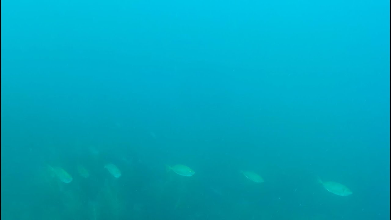 20 24 4 27~28 夜釣り - YouTube