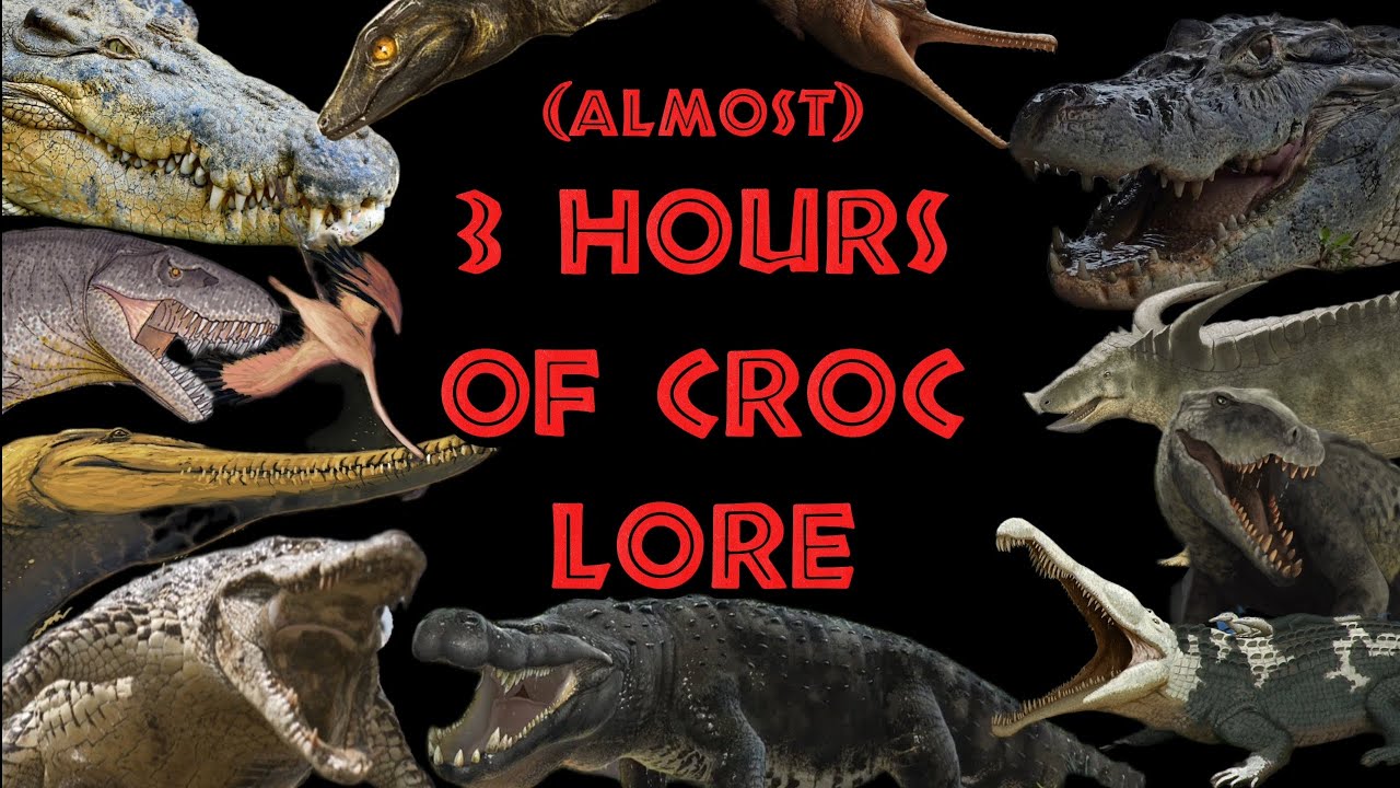 3 Hours of CROC LORE! - YouTube