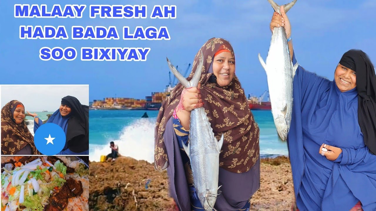 MALAAY FRESH AH HADA BADA LAGA SOO BIXIYAY BADA XAMAR WEYNE KASHIDAN ...