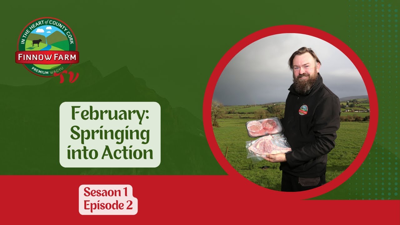 February: Springing into Action: S1E2 Spring has sprung on Finnow Farm ...