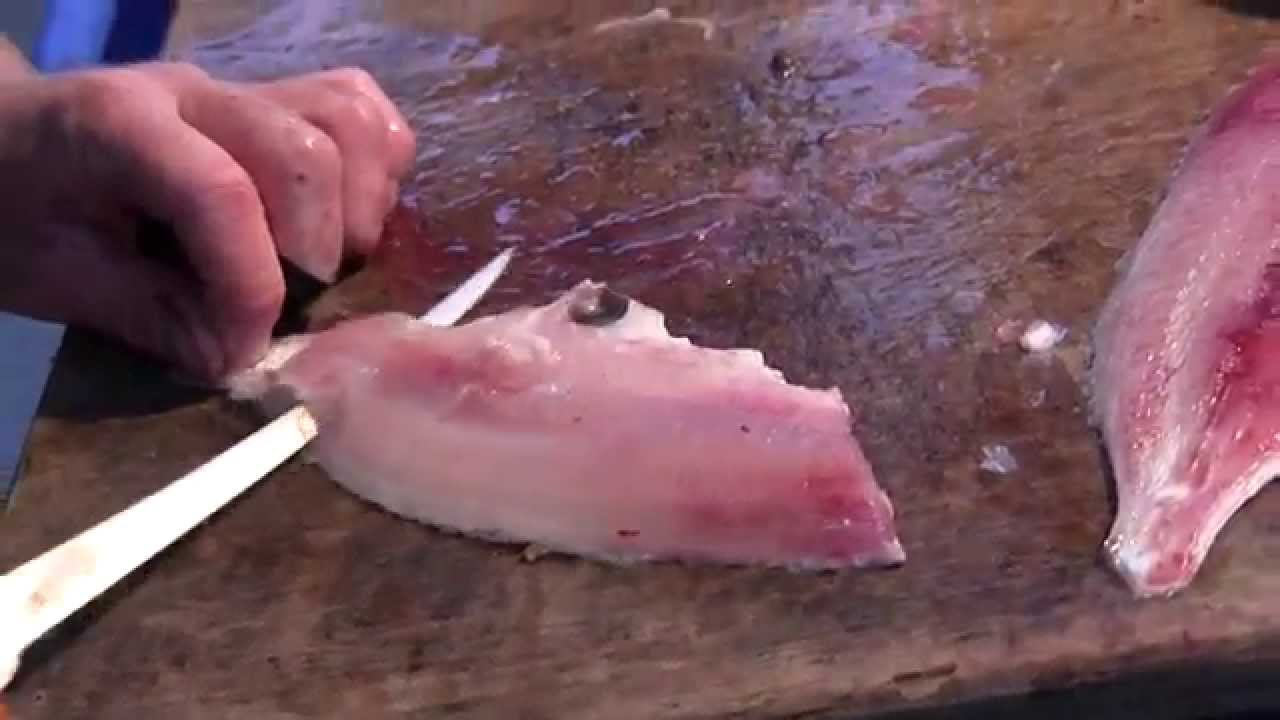 Howto fillet a Tarakihi - YouTube